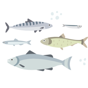 SMASH Fish - My SuperHero Foods